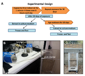 Tobacco-Related Disease | Talbot Research Group
